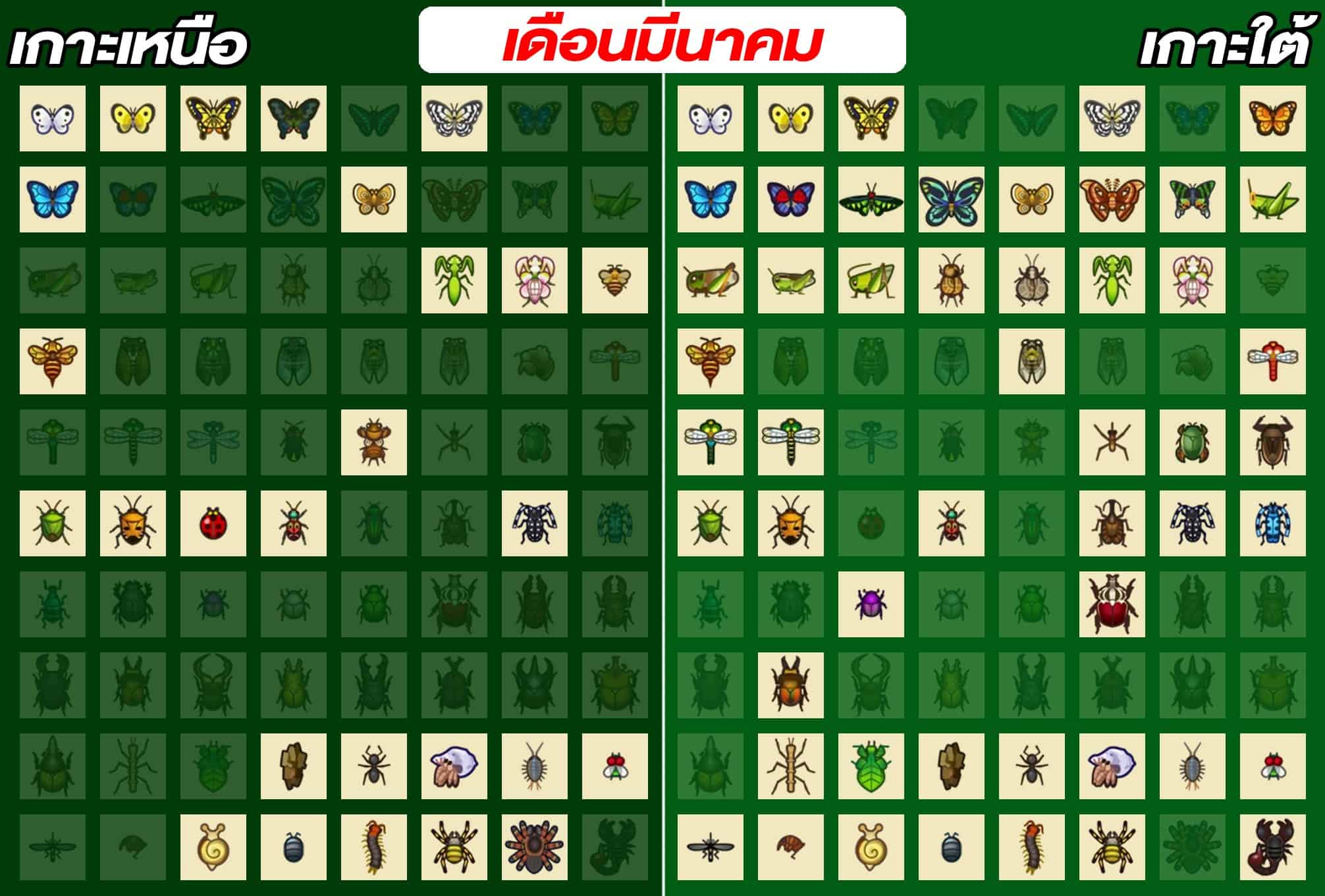 ข้อมูลทั้งหมด เกี่ยวกับ แมลง ในเกม Animal Crossing: New Horizons - Thai ...